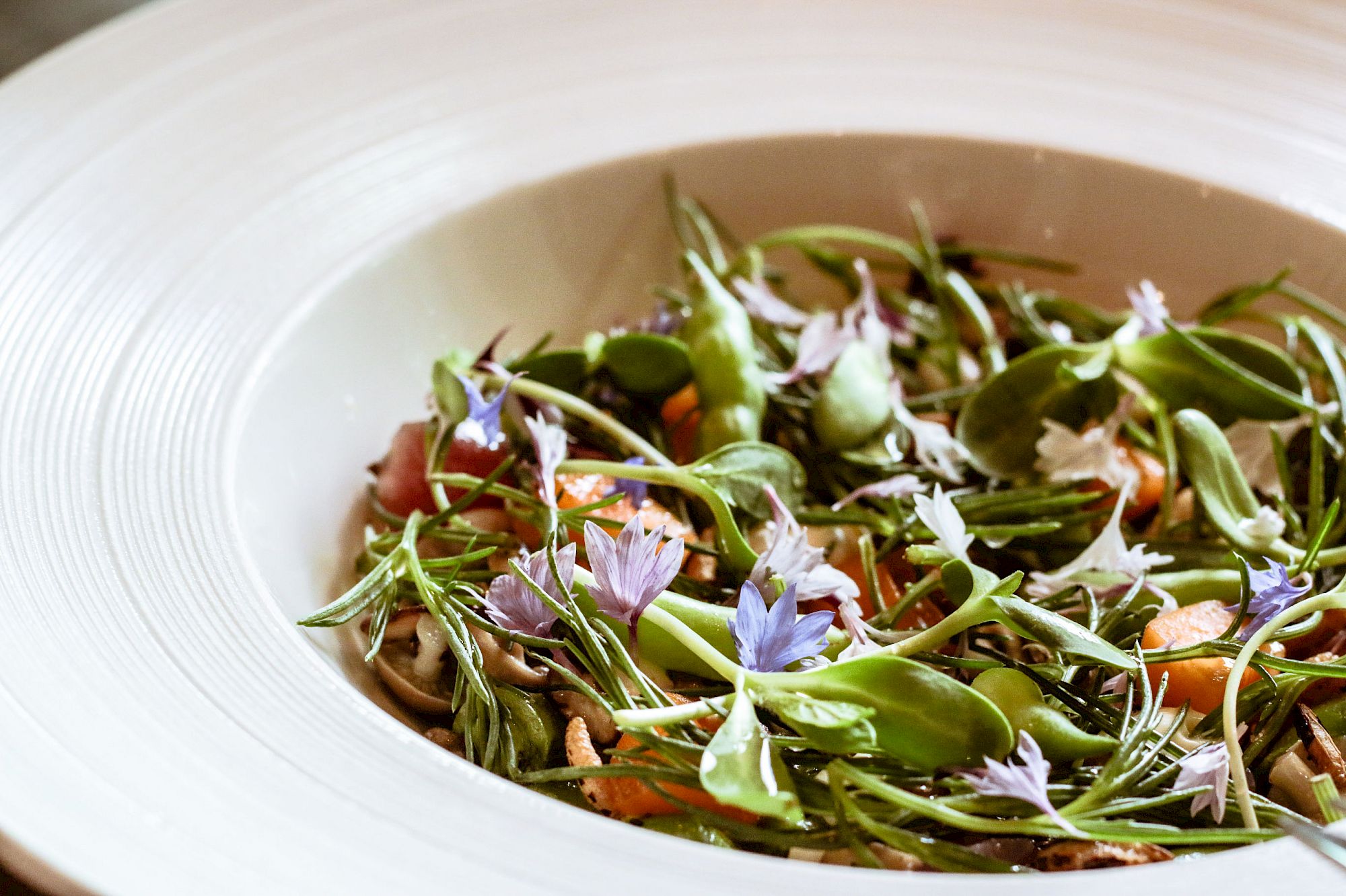 Photo Gallery - RIDER Seattle